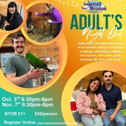 Fall Adult's Night Out - Sweet Meadow Farm - Animal Food & Hay ...